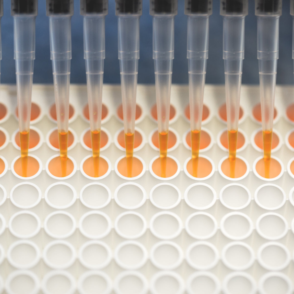 Filtration Plate Choices for High-Throughput Laboratory Applications ...