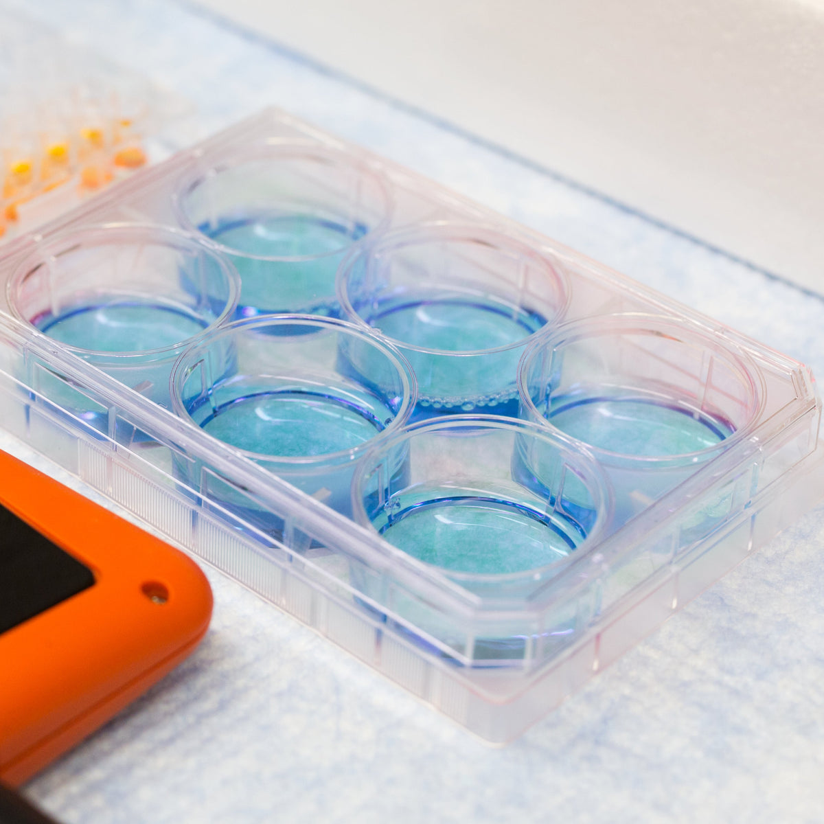 Private Label Packaging Trends for Life Science Brands – Ciro Manufacturing
