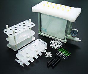12 Port Glass Chamber – Ciro Manufacturing